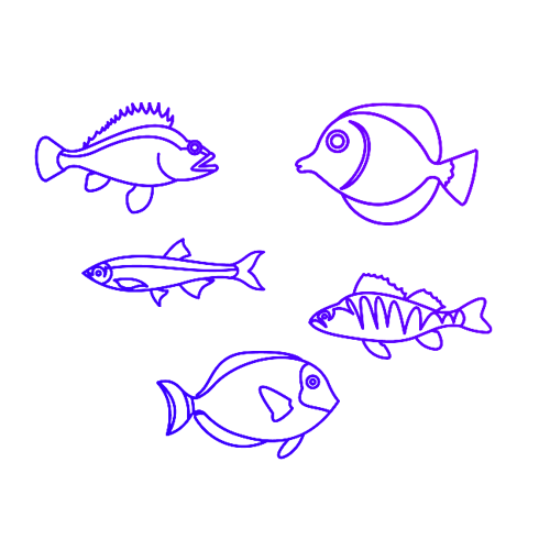 Seeb4coding - Coding meets innovation